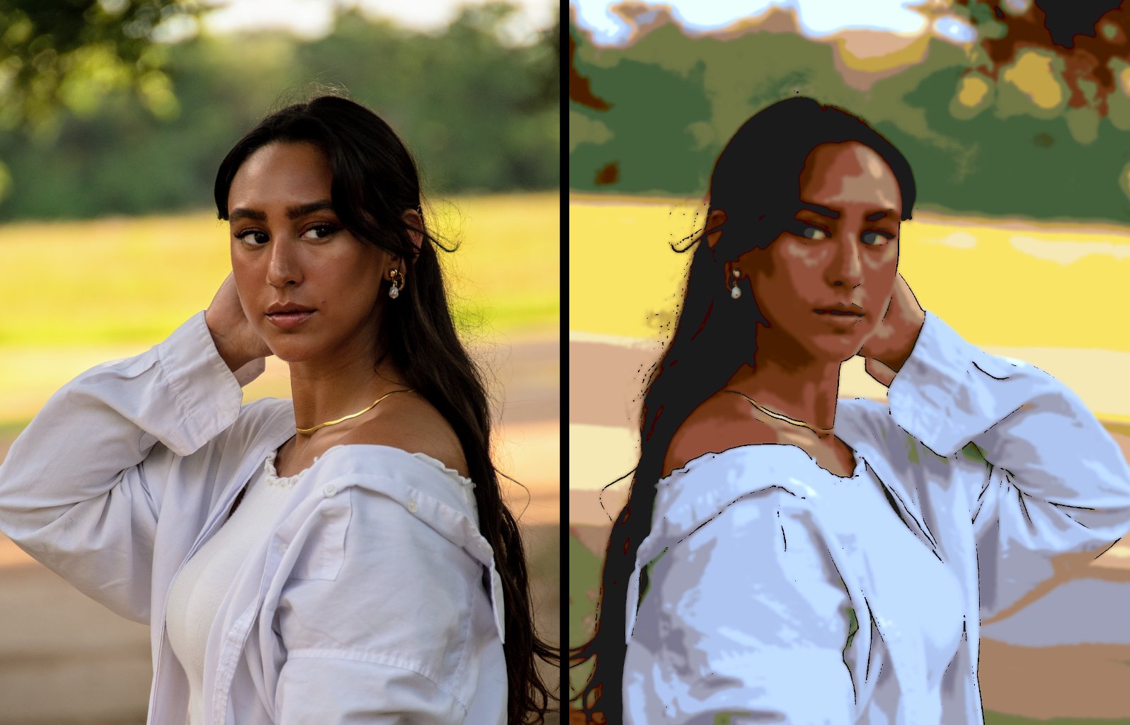 Cartoon or Photo? - Image detection with Python - Code Calamity